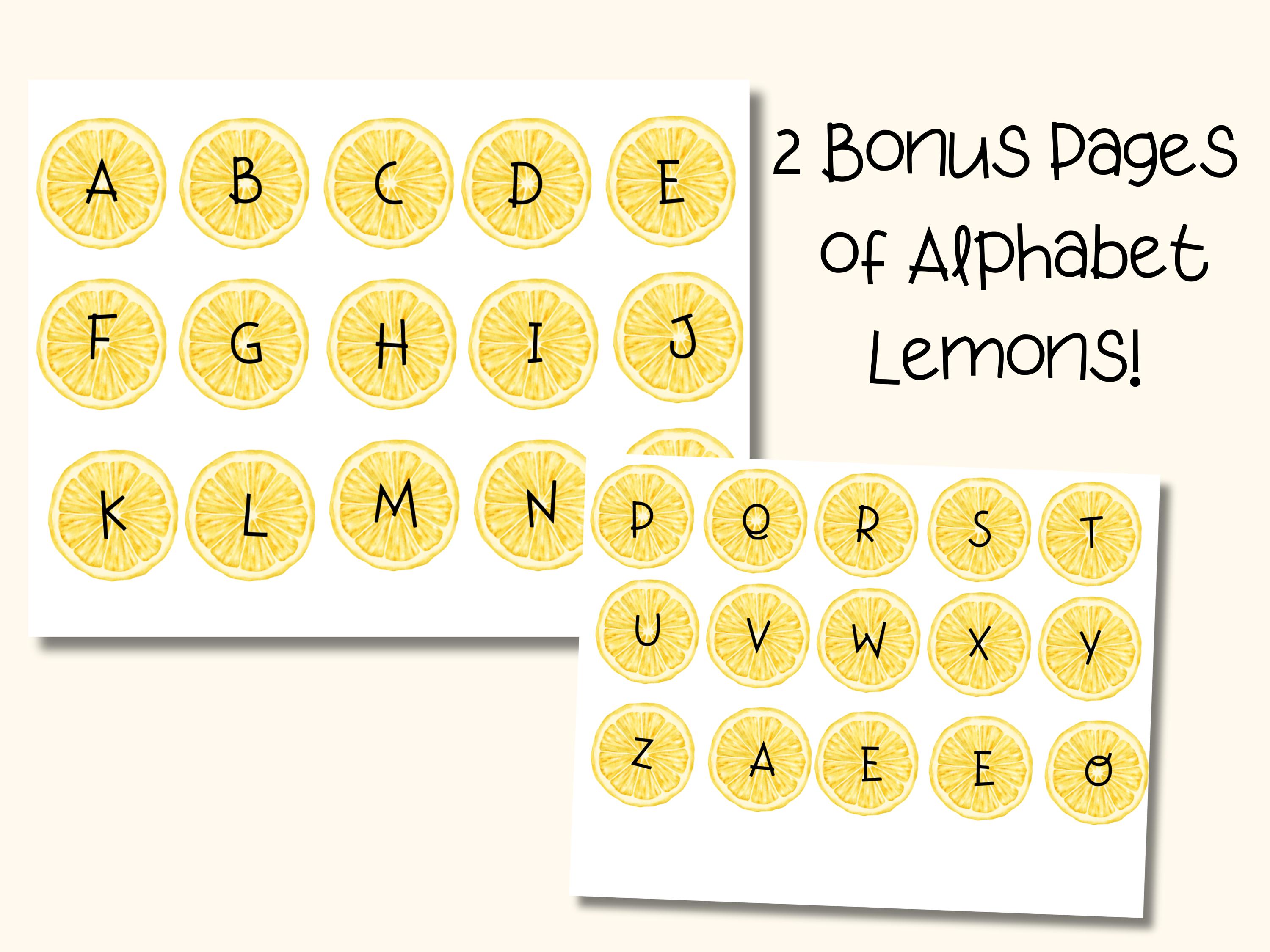 Printable Lemonade Stand Dramatic Play Kit + Bonus Summer Bundle ...