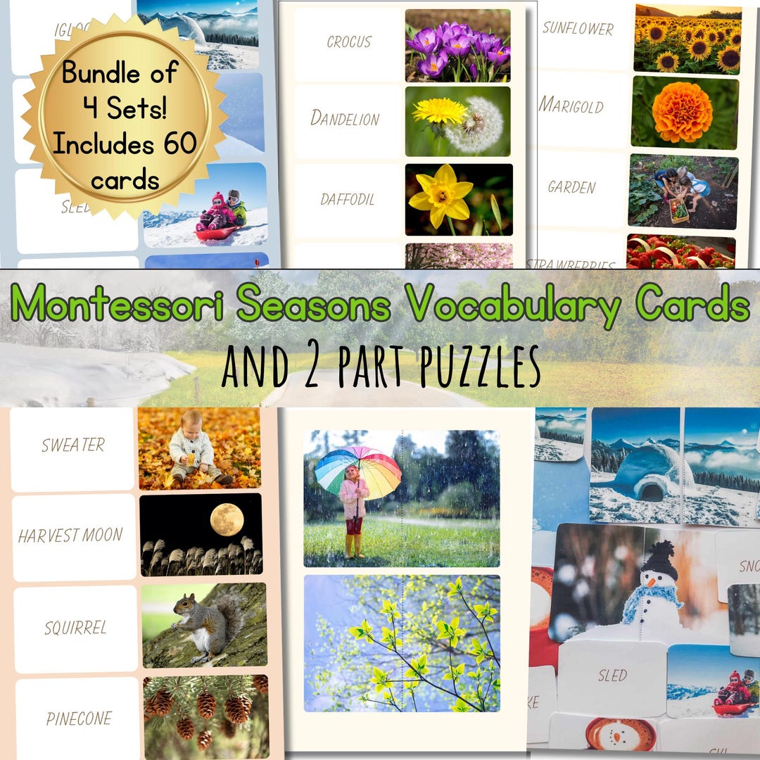Montessori Cards, Vocabulary Pictures With Words Cards, Flashcards ...