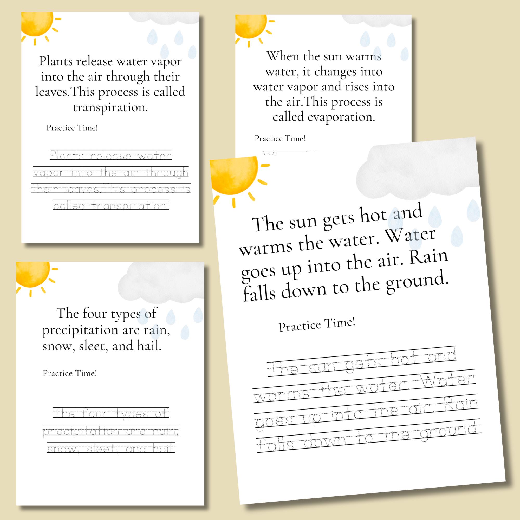 Water Cycle Mini Unit Study | Homeschool Science Prek–1st Grade ...