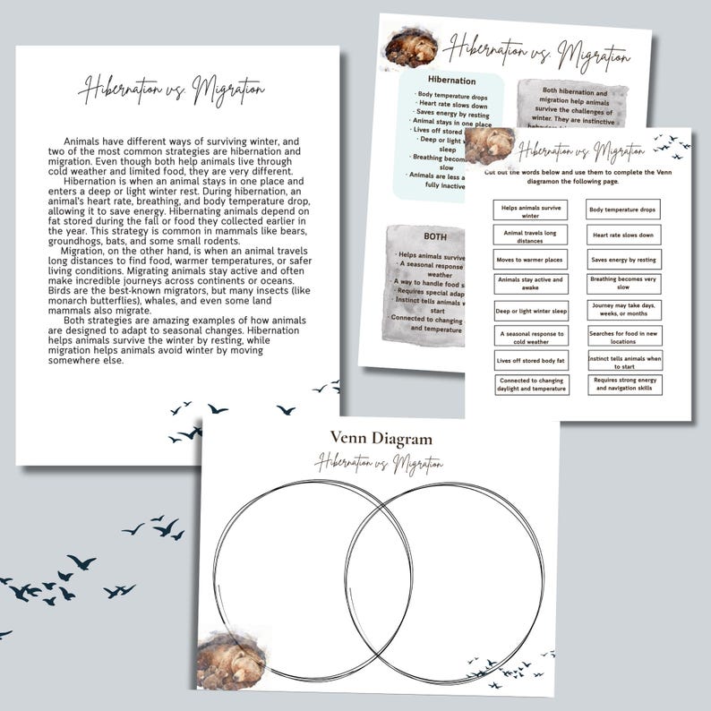 Hibernation Unit Study | Winter Science for Kids | Animal Adaptations ...