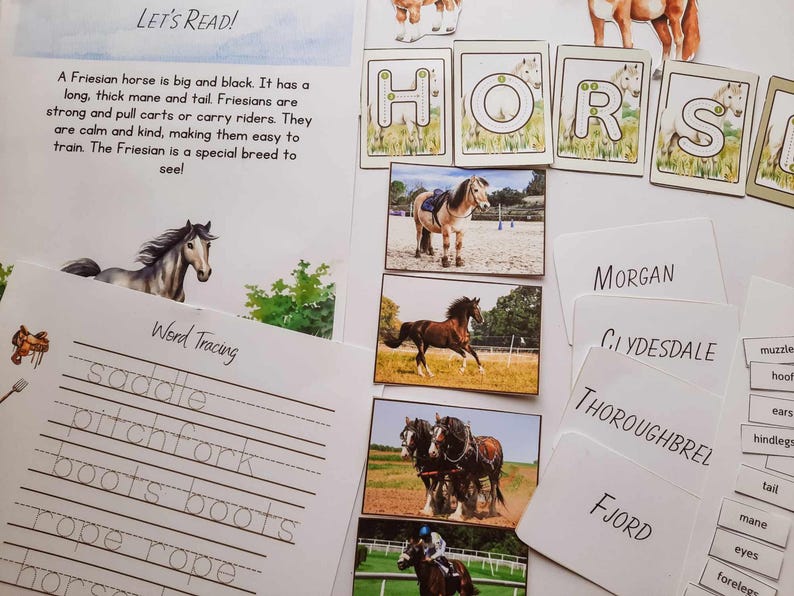 Horse Unit Study, Horse Homeschool Unit Study, Horse Anatomy, Horse ...