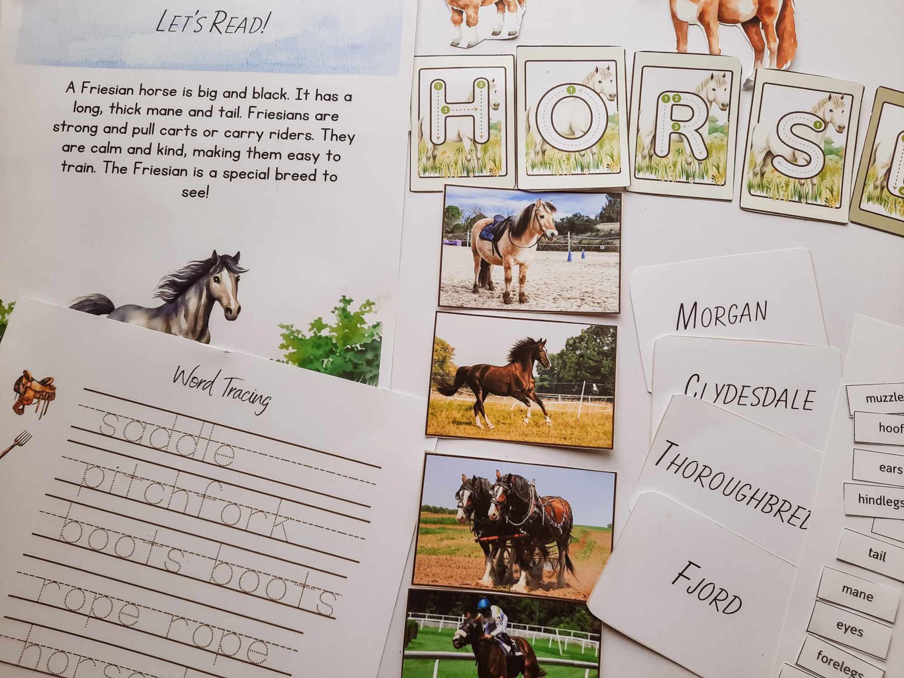Horse Unit Study, Horse Homeschool Unit Study, Horse Anatomy, Horse Puzzles, Preschool Bundle ...