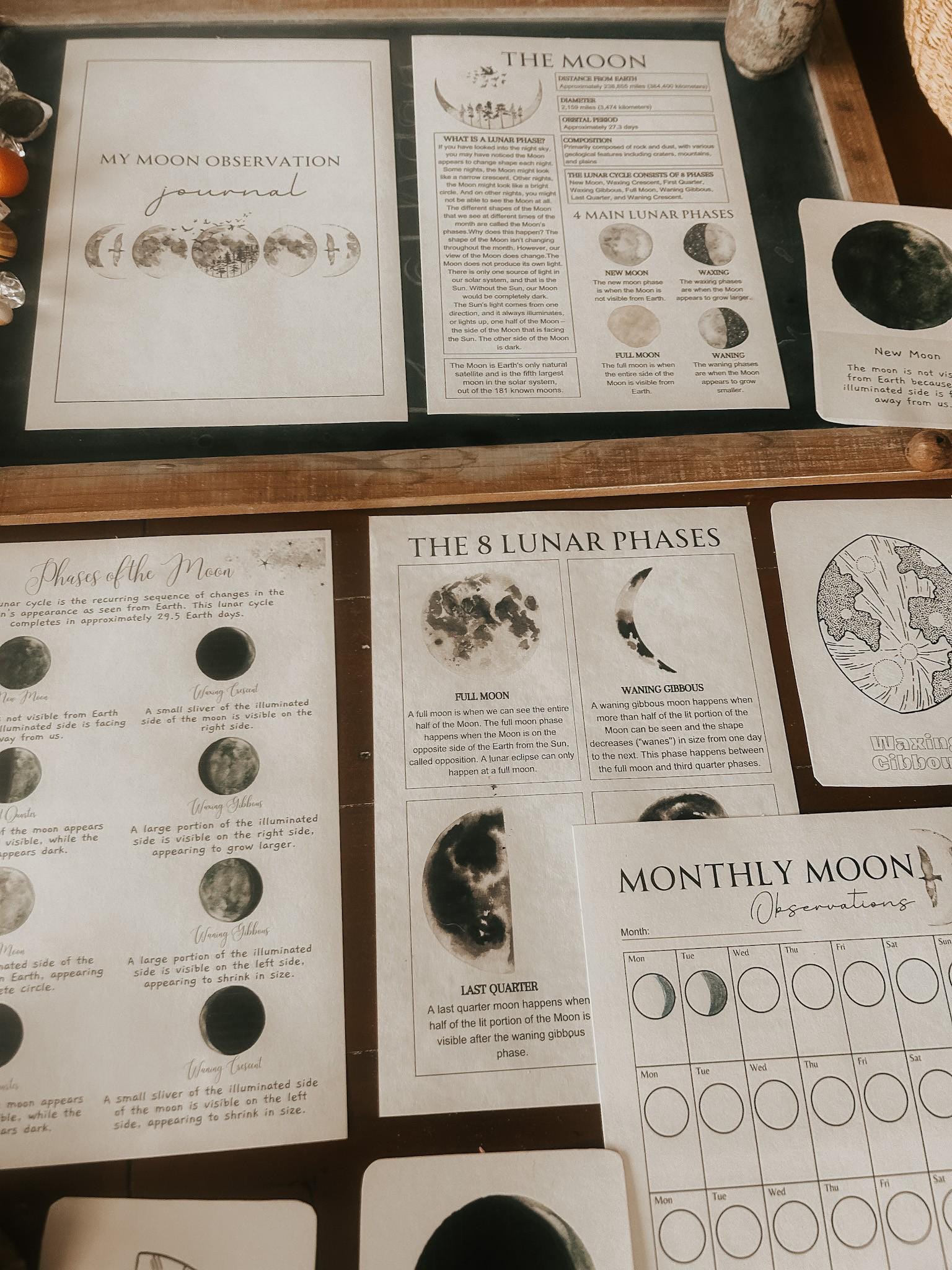Moon Phases Study and Journal, Nature Study Educational Resources - Etsy