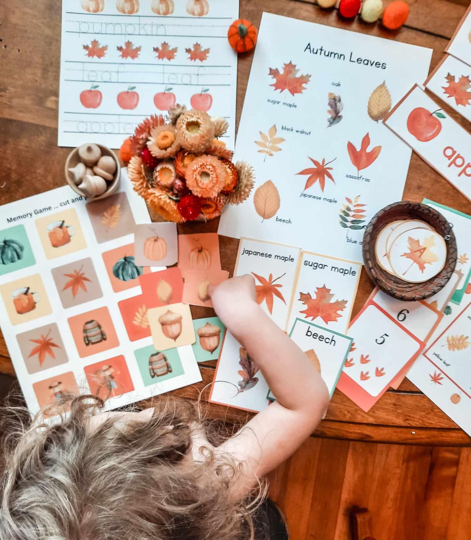 Fall Printables, Homeschool Activity, Mega Bundle, Fall Bucket List ...