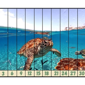 Skip Counting Puzzles Printable, Sea Turtle Number Puzzles, Morning ...