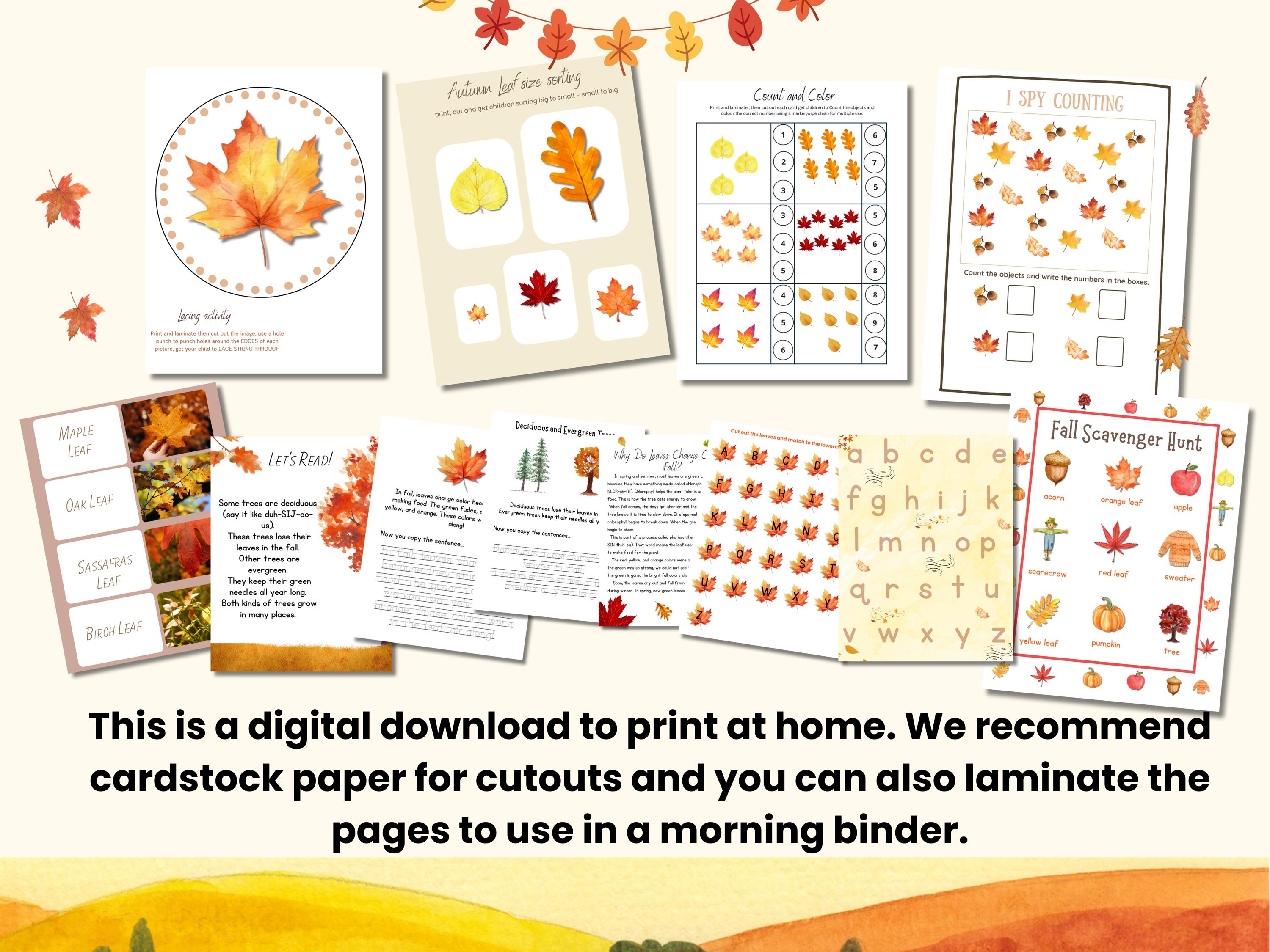 Autumn Leaves Early Learning Pack – Fall Preschool Activities, Autumn ...