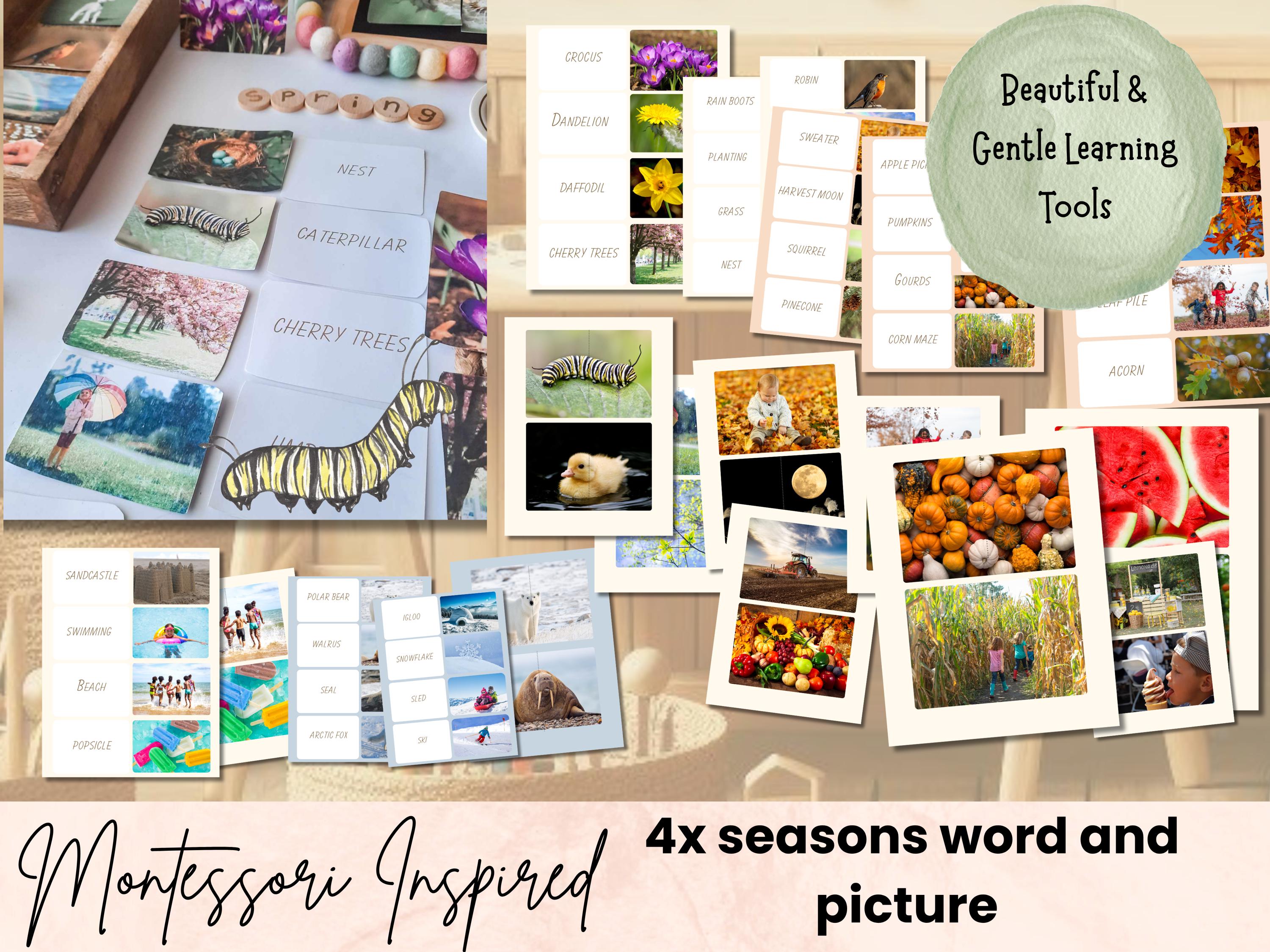 Nature Preschool Printable Bundle | Charlotte Mason Homeschool ...