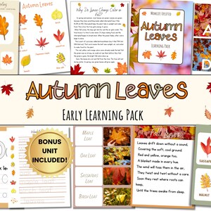 Autumn Leaves Early Learning Pack – Fall Preschool Activities, Autumn ...