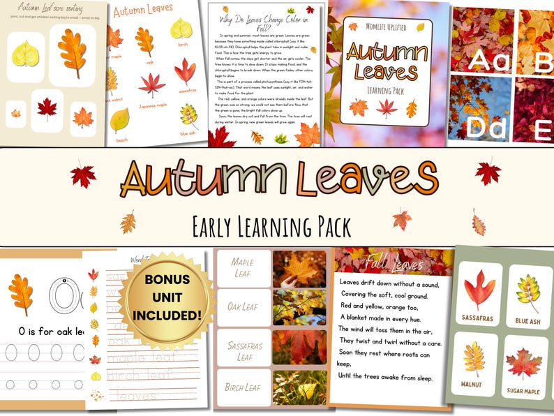 Autumn Leaves Early Learning Pack – Fall Preschool Activities, Autumn ...