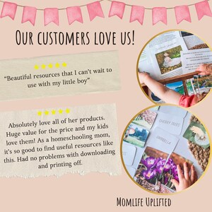 Shapes in Nature, Nature Shapes Printable Flashcards, Reggio Emilia ...