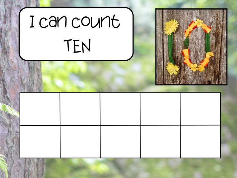 Nature Numbers, Ten Frame Counting Worksheets, Reggio Inspired ...