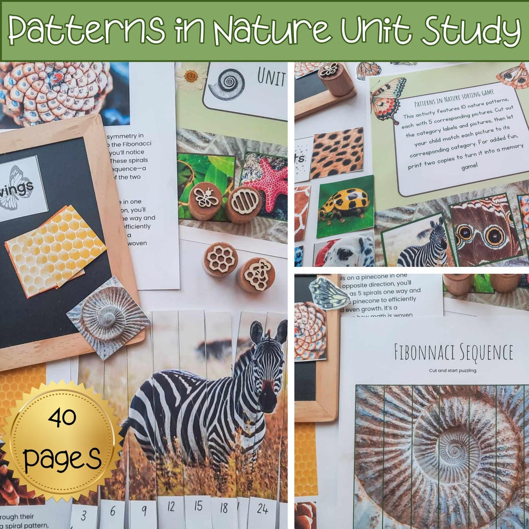 Reggio Inspired Patterns and Shapes, Homeschool Stem Printables - Etsy
