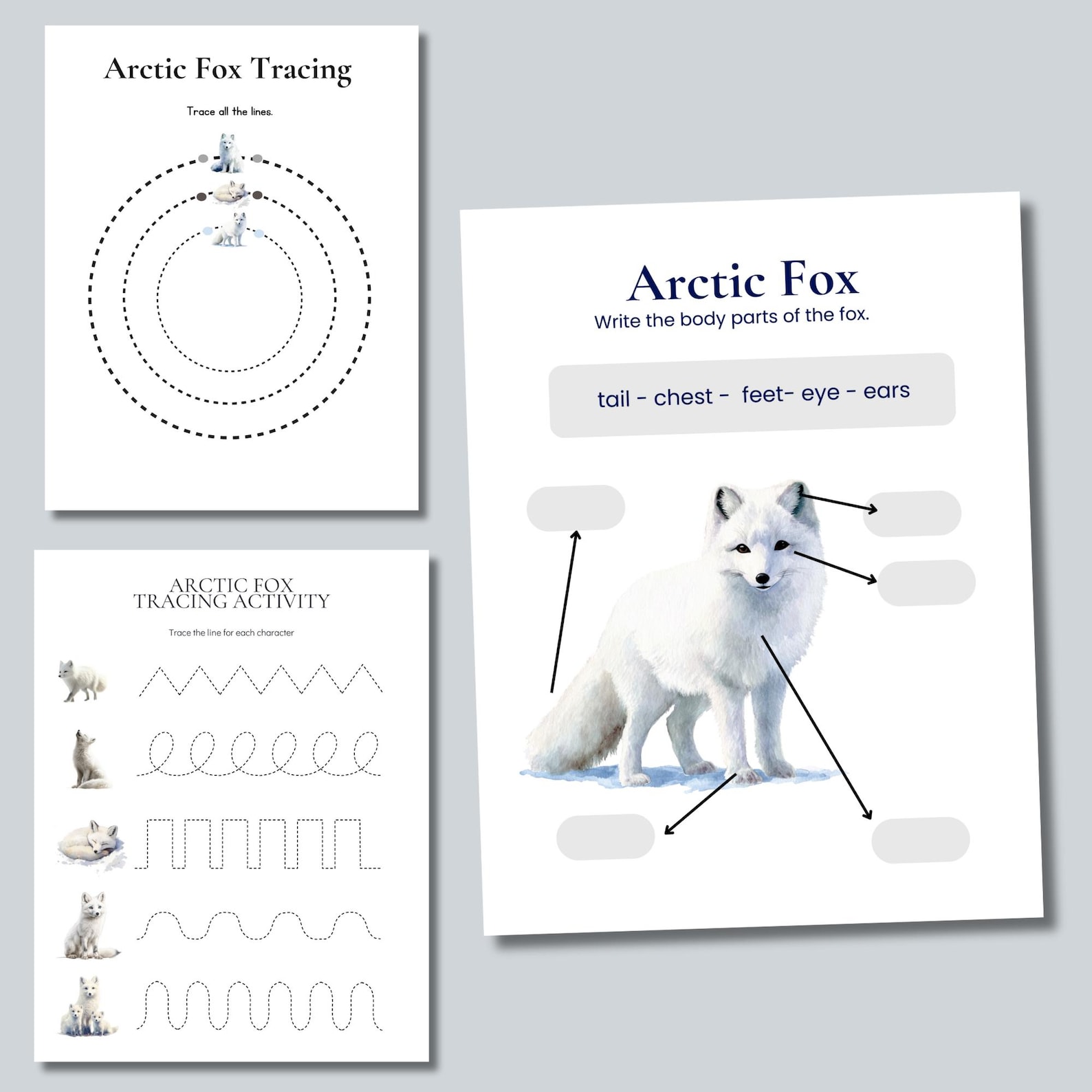 Arctic Fox Mini Unit Study | Arctic Animals Homeschool | Winter ...