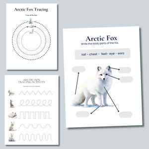 Arctic Fox Mini Unit Study | Arctic Animals Homeschool | Winter ...
