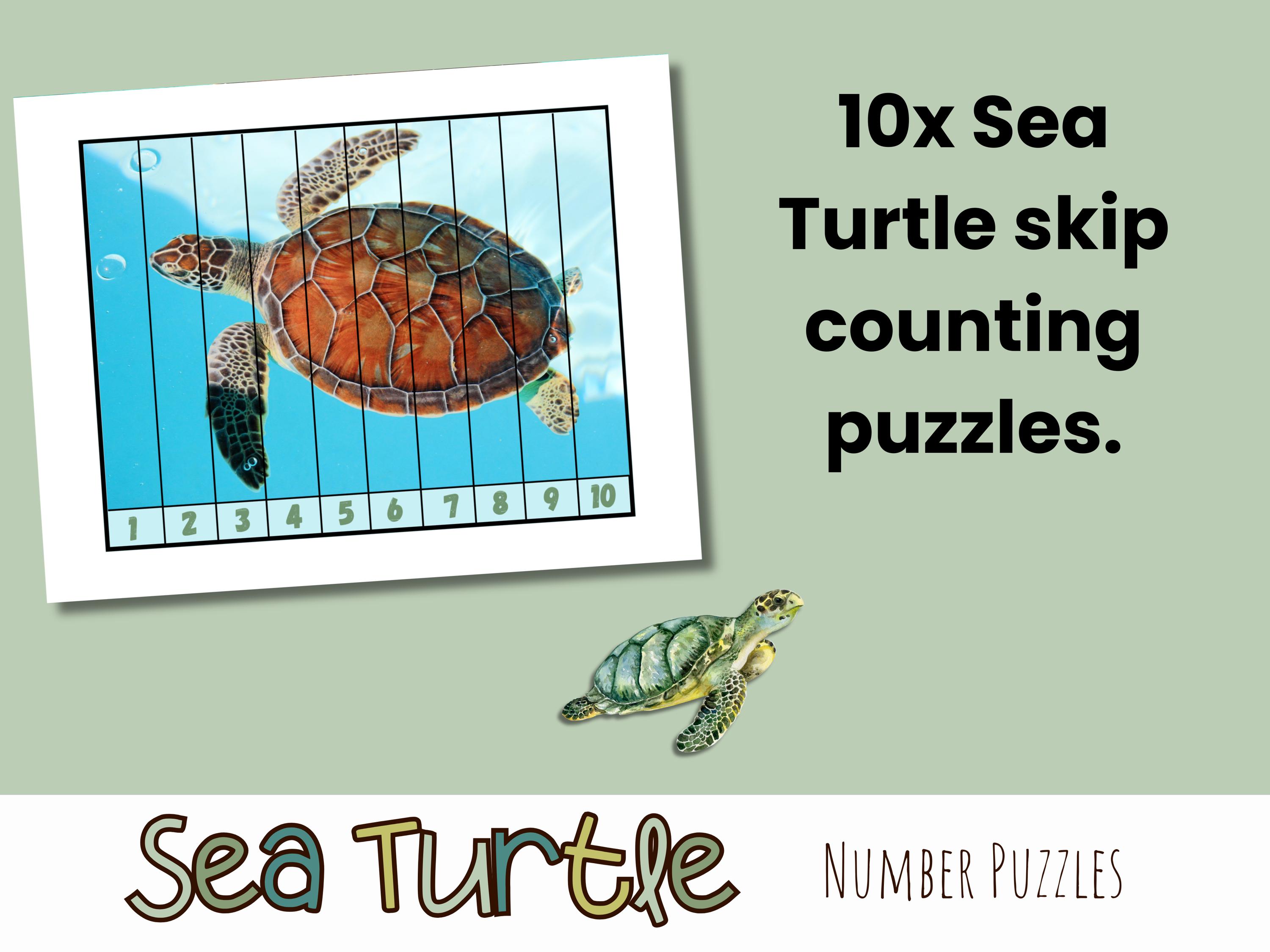 Skip Counting Puzzles Printable, Sea Turtle Number Puzzles, Morning ...