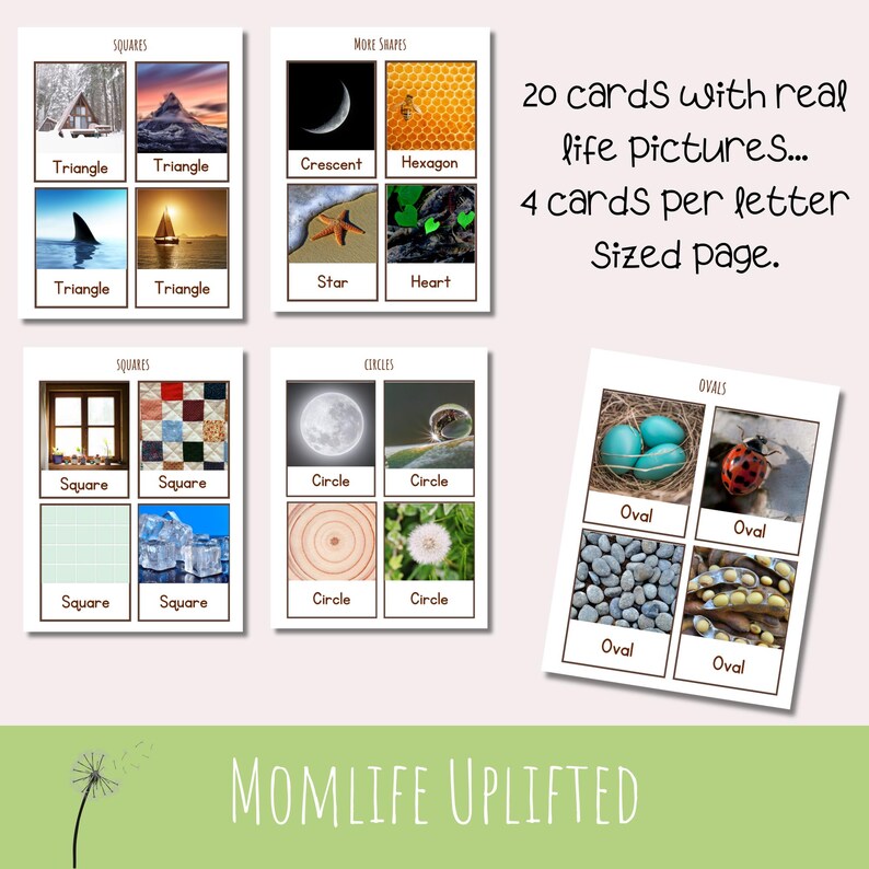 Shapes in Nature Flashcards, Reggio Emilia Preschool, Montessori ...