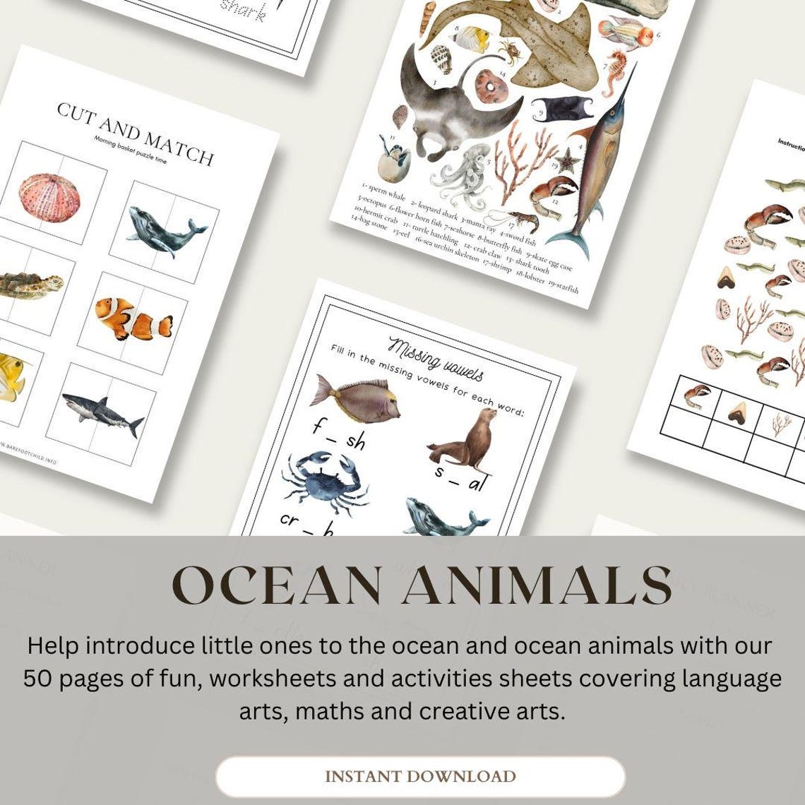 Ocean Animals Bundle, Prek Flashcards, Montessori Activities, Marine ...