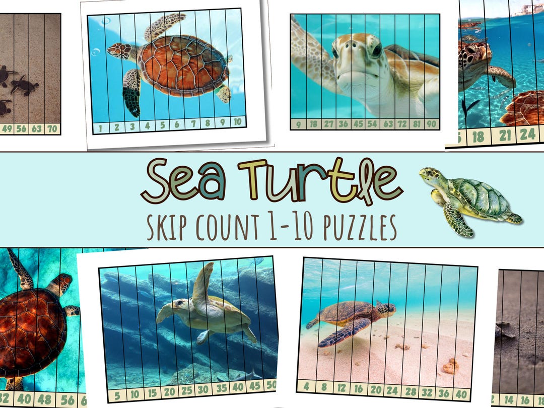 Skip Counting Puzzles Printable, Sea Turtle Number Puzzles, Morning ...