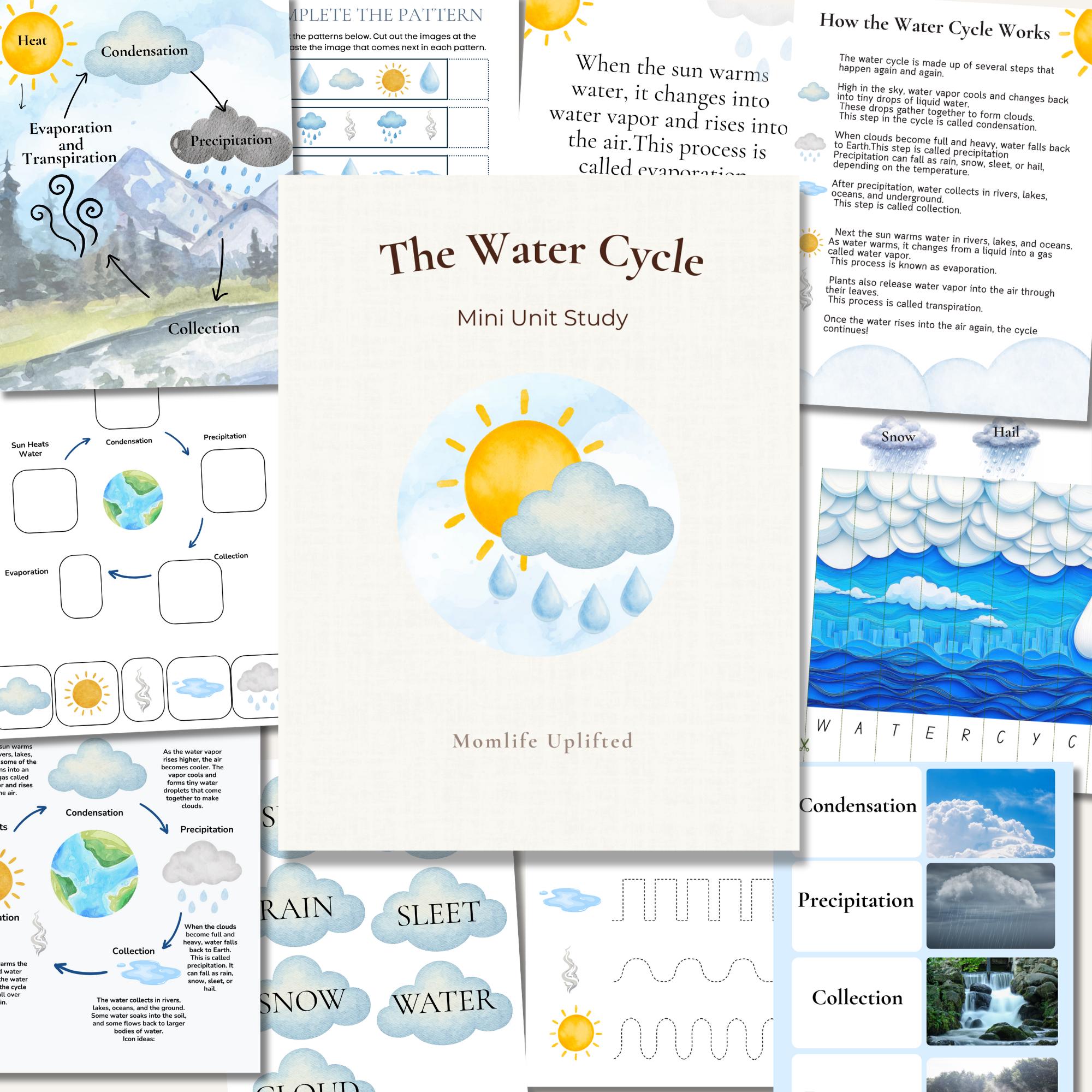 Water Cycle Mini Unit Study | Homeschool Science Prek–1st Grade ...