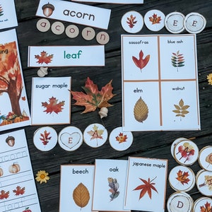 Printable Fall Activity Fall Early Learning Activities Montessori ...