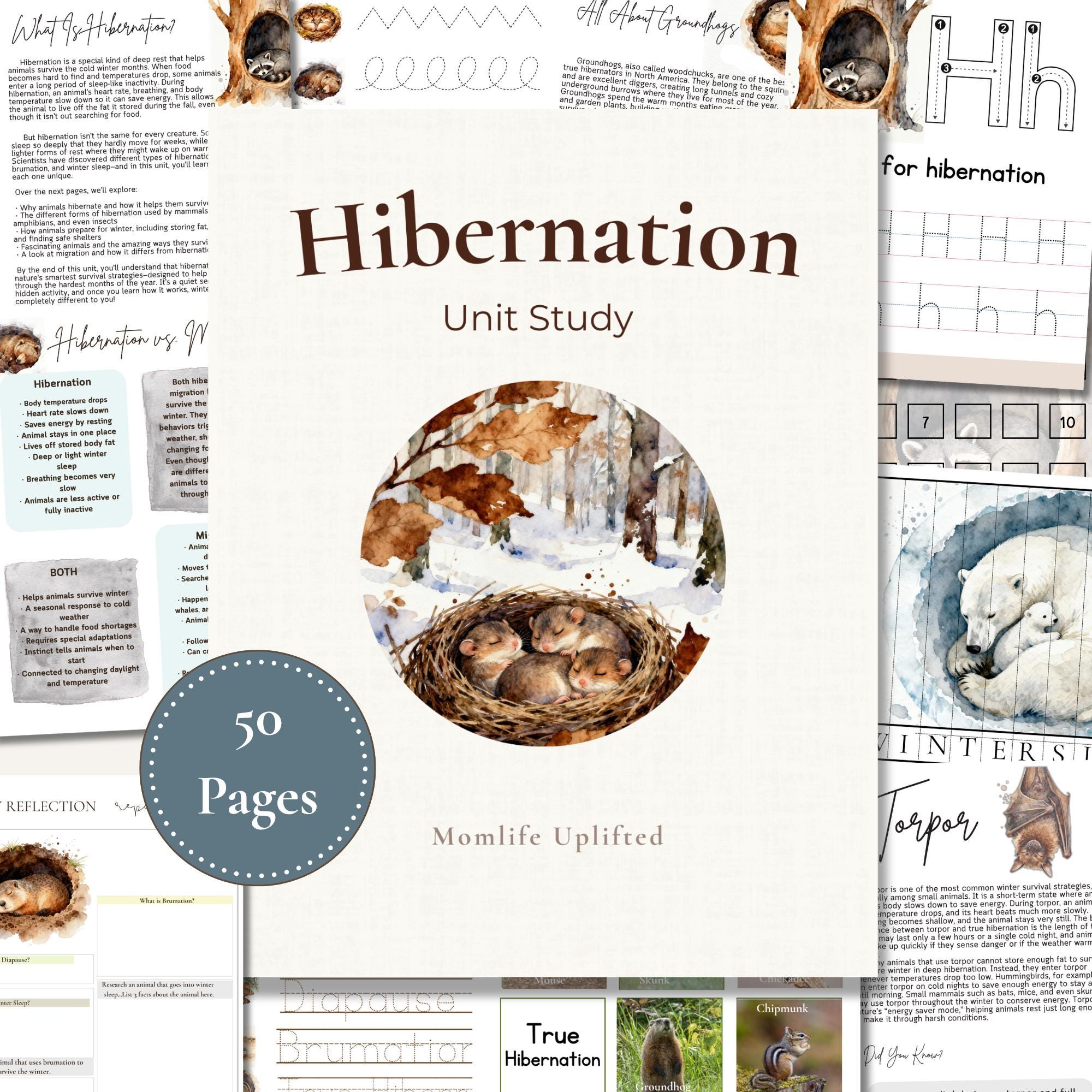 Hibernation Unit Study | Winter Science for Kids | Animal Adaptations ...