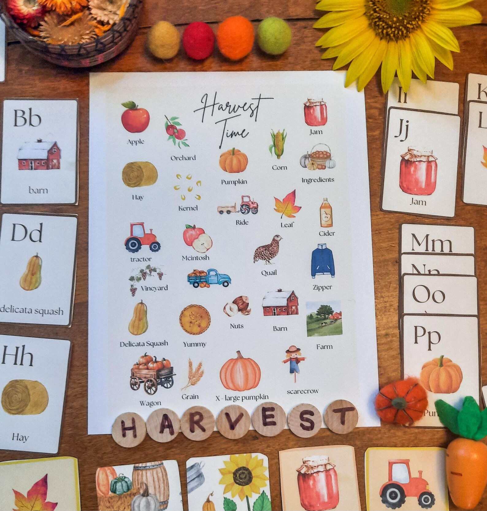 Fall Preschool Activities Learning Flashcards and Worksheets - Etsy