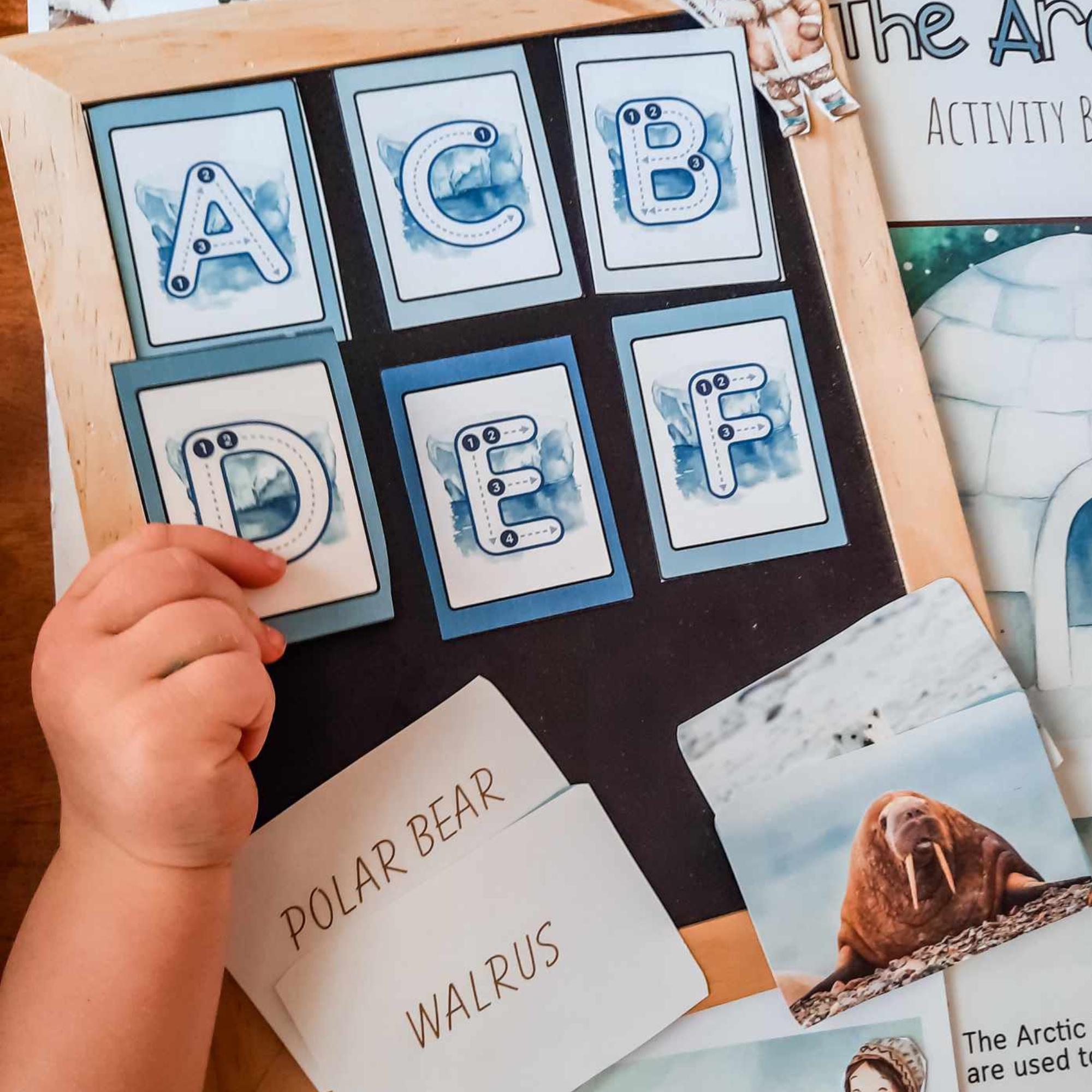 Arctic Animals Activities for Preschool Kindergarten and Elementary ...