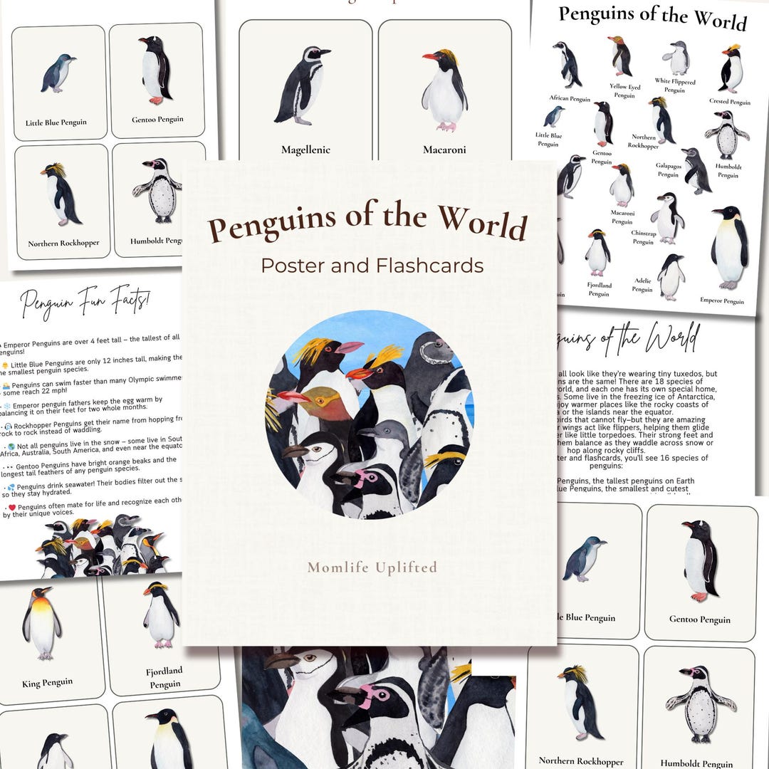 Penguin Poster and Flashcards Printable | Penguin Species Cards ...