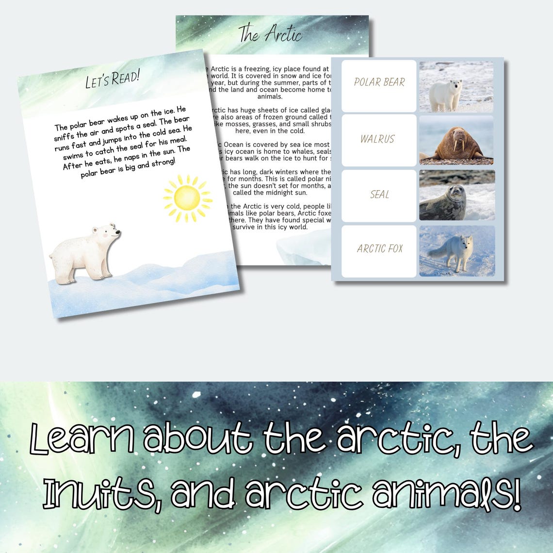 Arctic Animals Activities for Preschool Kindergarten and Elementary ...