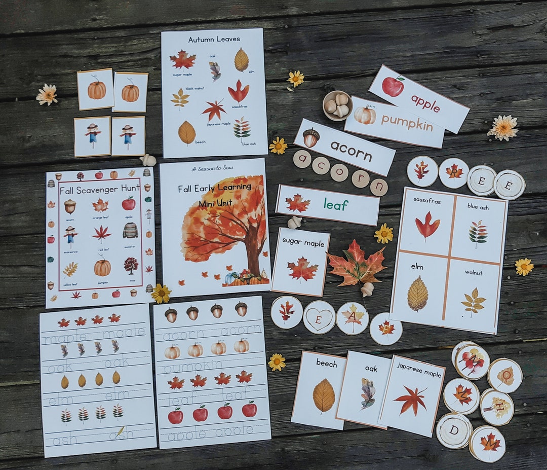 Printable Fall Activity Fall Early Learning Activities Montessori ...