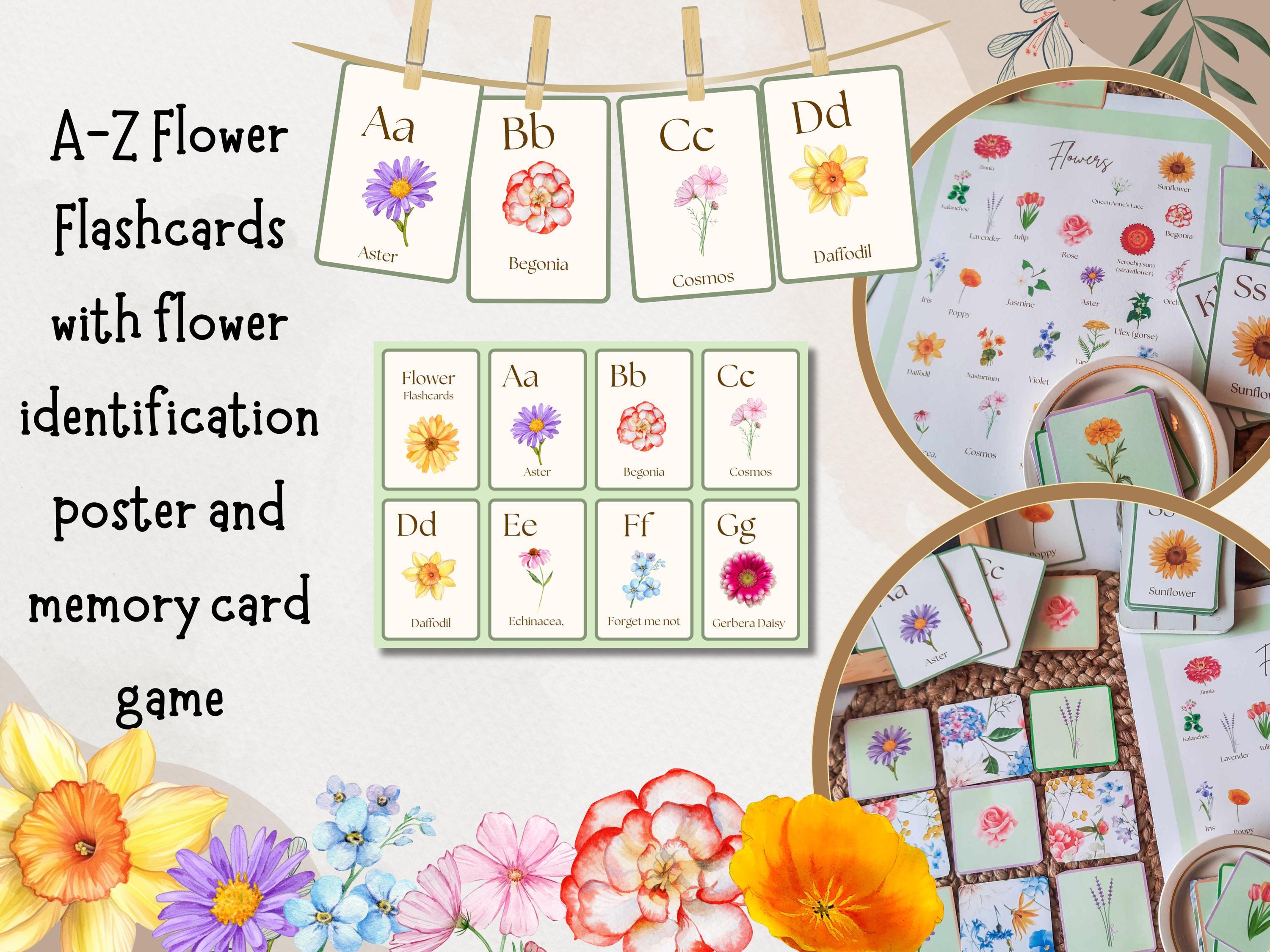 Nature Preschool Printable Bundle | Charlotte Mason Homeschool ...