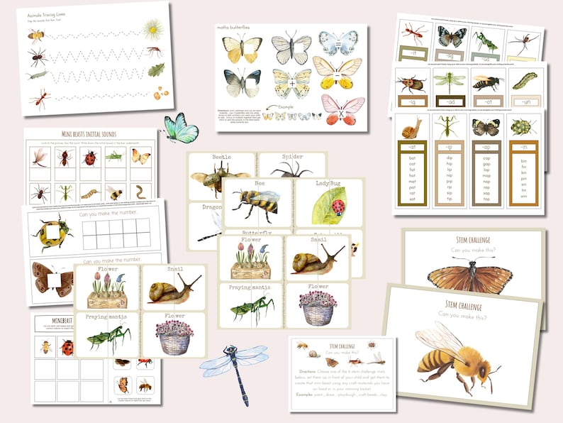 Insect Printables, Bugs for Kids,montessori Learning, Preschool Bundle ...