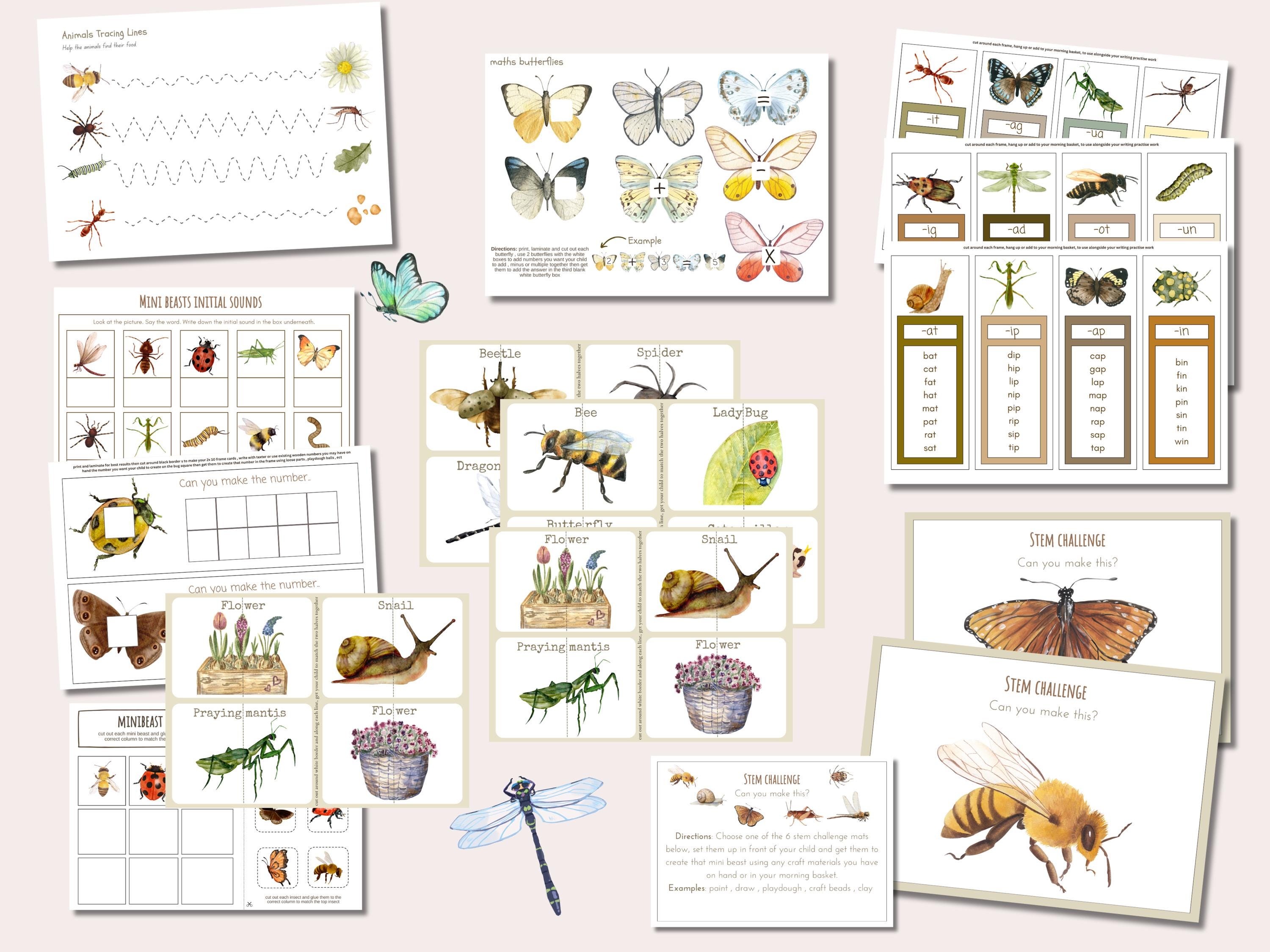 Insect Printables, Montessori Learning, Preschool Bundle,morning Basket ...