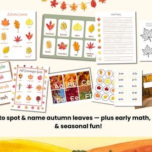 Autumn Leaves Early Learning Pack – Fall Preschool Activities, Autumn ...