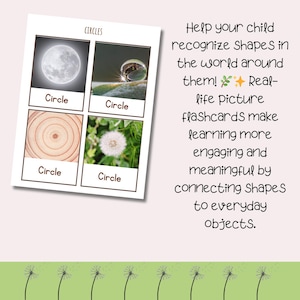 Shapes in Nature, Nature Shapes Printable Flashcards, Reggio Emilia ...