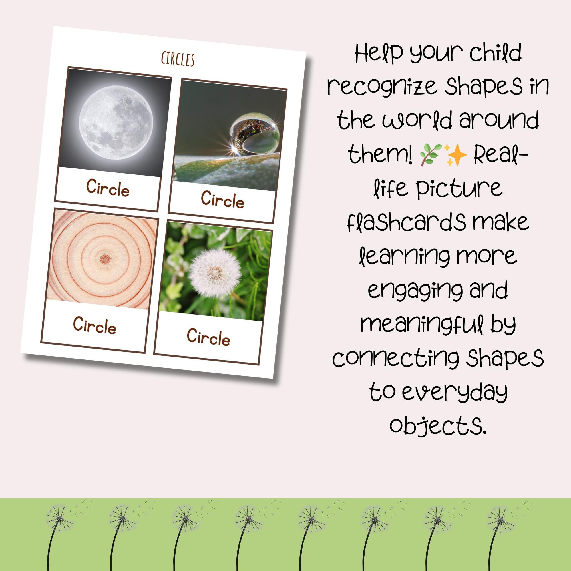 Shapes in Nature Flashcards, Reggio Emilia Preschool, Montessori ...