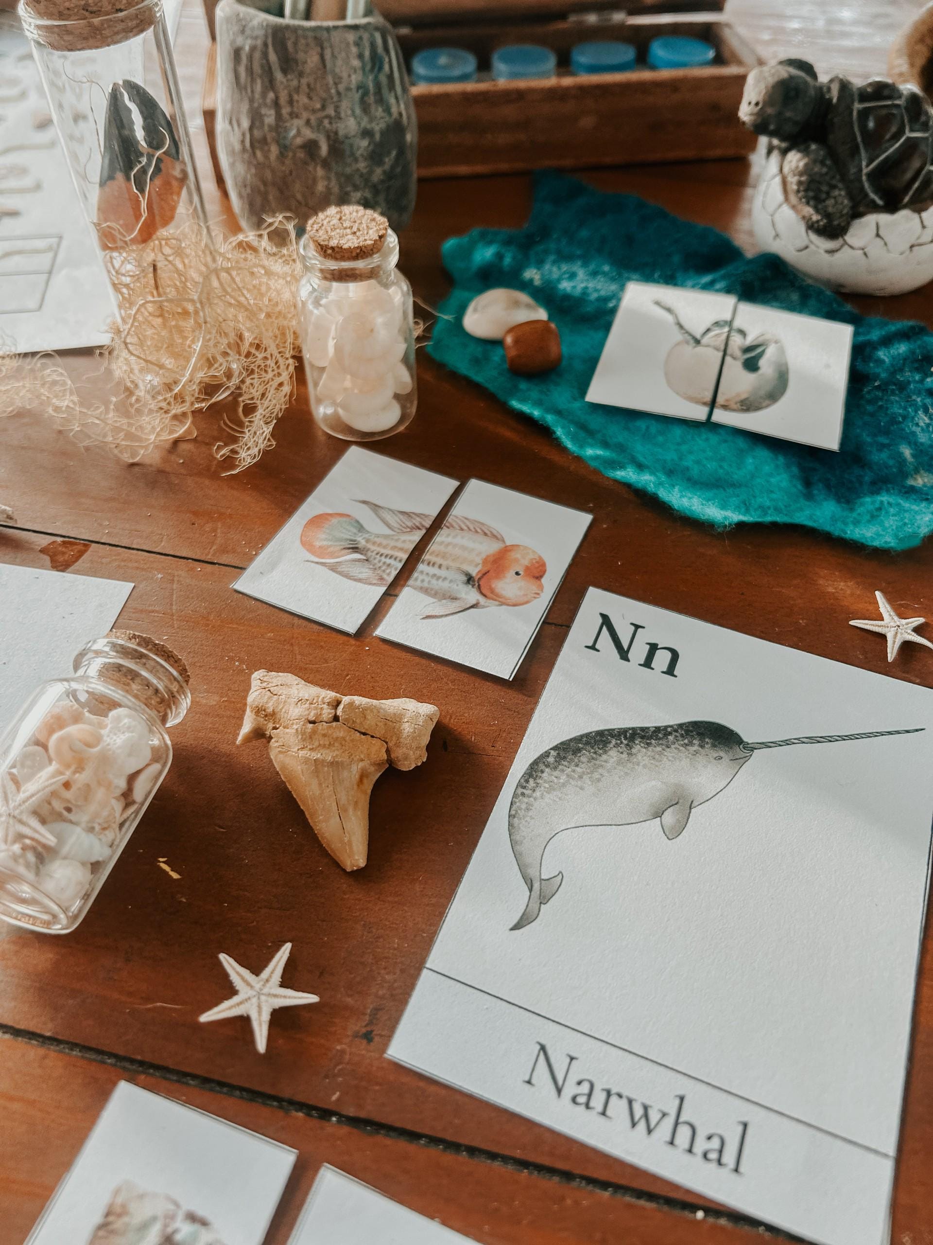 Ocean Animals Bundle, Prek Flashcards, Montessori Activities, Marine ...