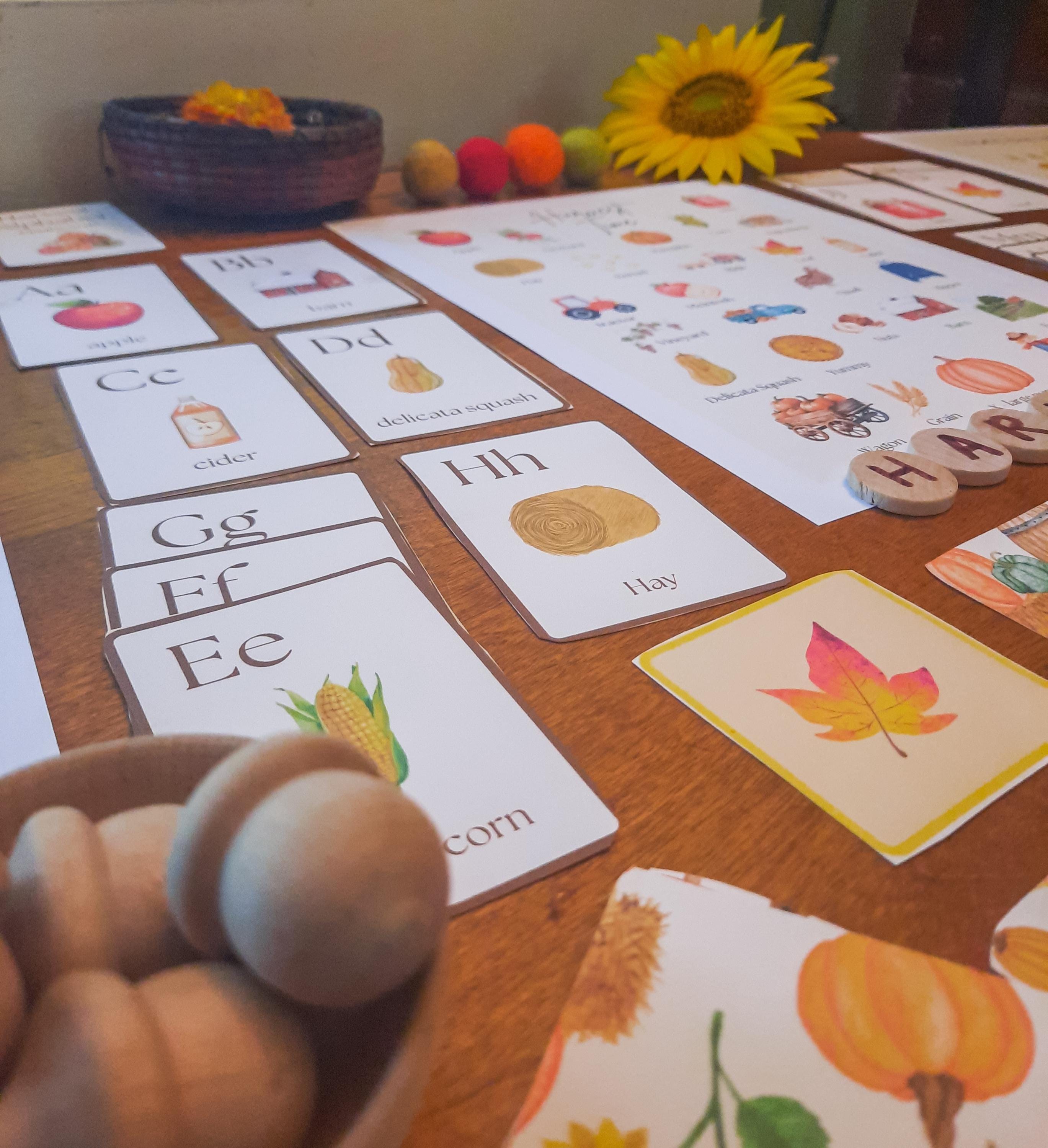 Fall Preschool Activities Learning Flashcards and Worksheets - Etsy