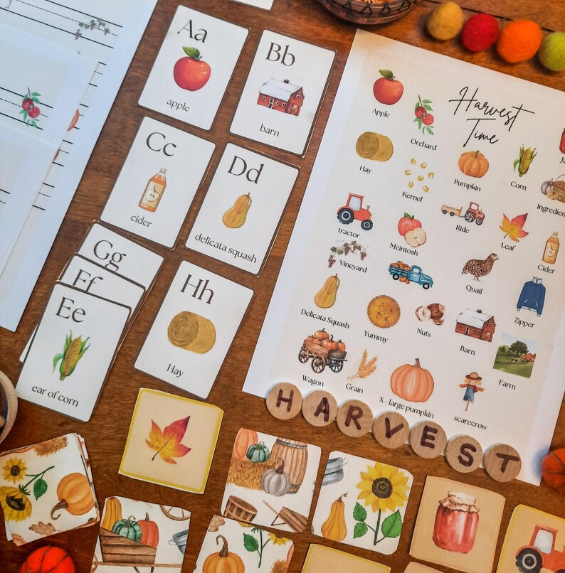 Fall Preschool Activities Learning Flashcards and Worksheets - Etsy