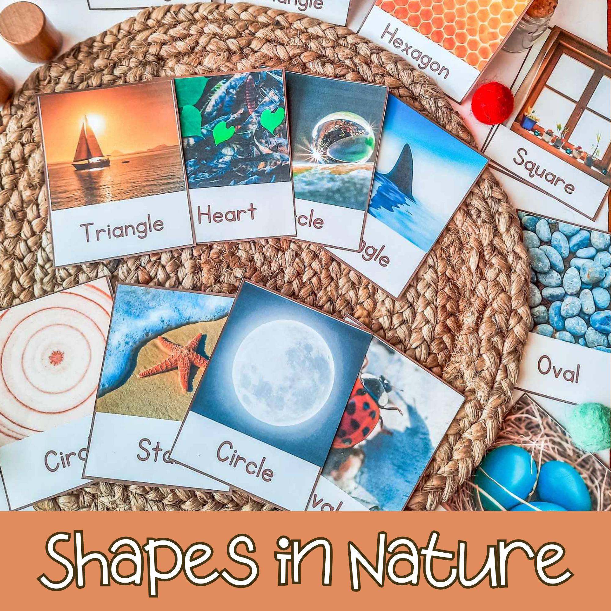 Shapes in Nature Flashcards, Reggio Emilia Preschool, Montessori ...