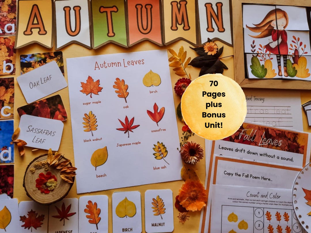 Autumn Unit Study, Autumn Nature Study Homeschool, Fall Scavenger Hunt ...