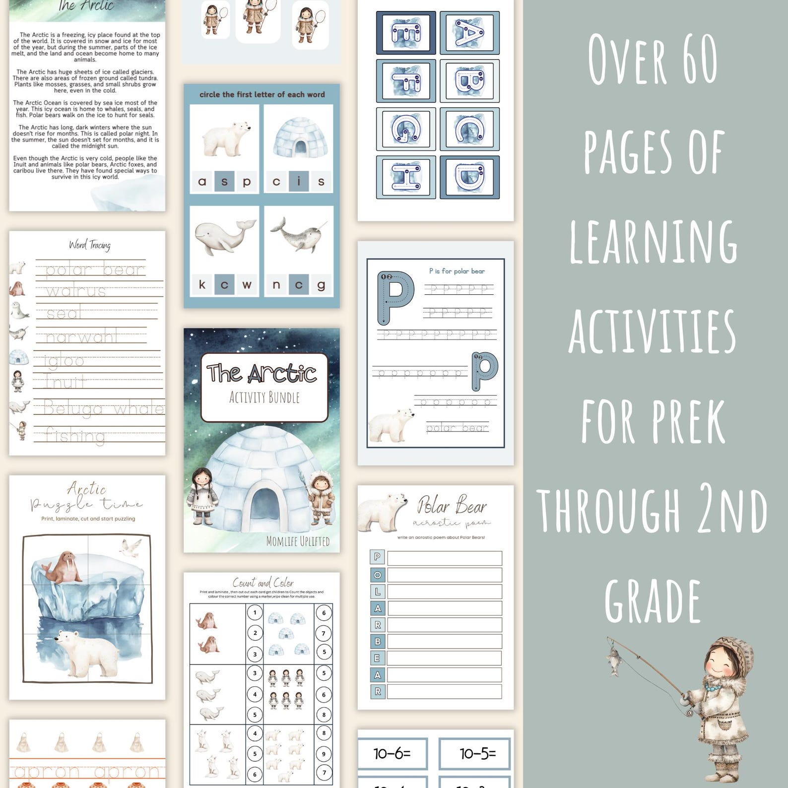 Arctic Animals Activities for Preschool Kindergarten and Elementary ...