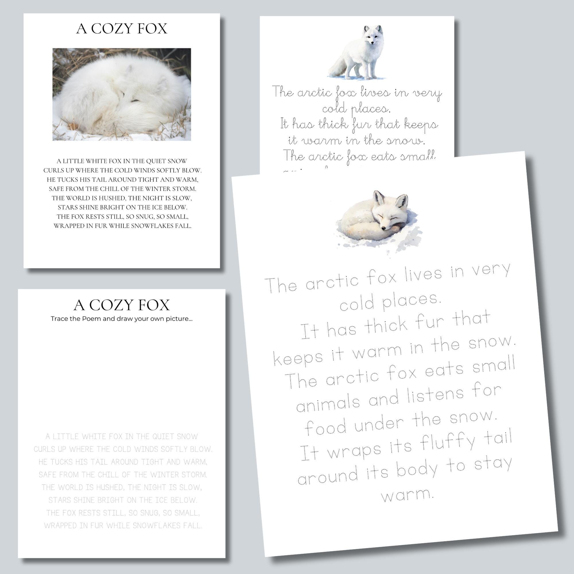 Arctic Fox Mini Unit Study | Arctic Animals Homeschool | Winter ...