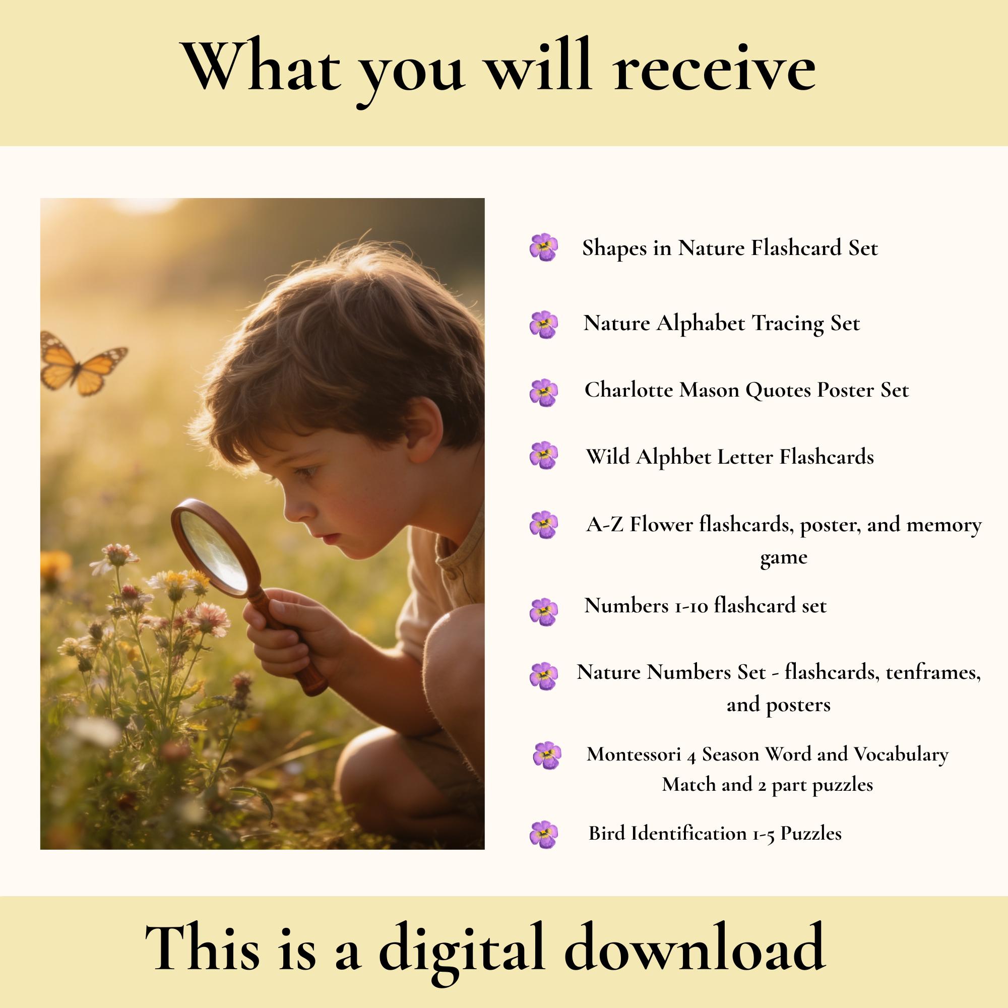 Reggio Emilia Preschool Printables | Nature School Prek Curriculum ...