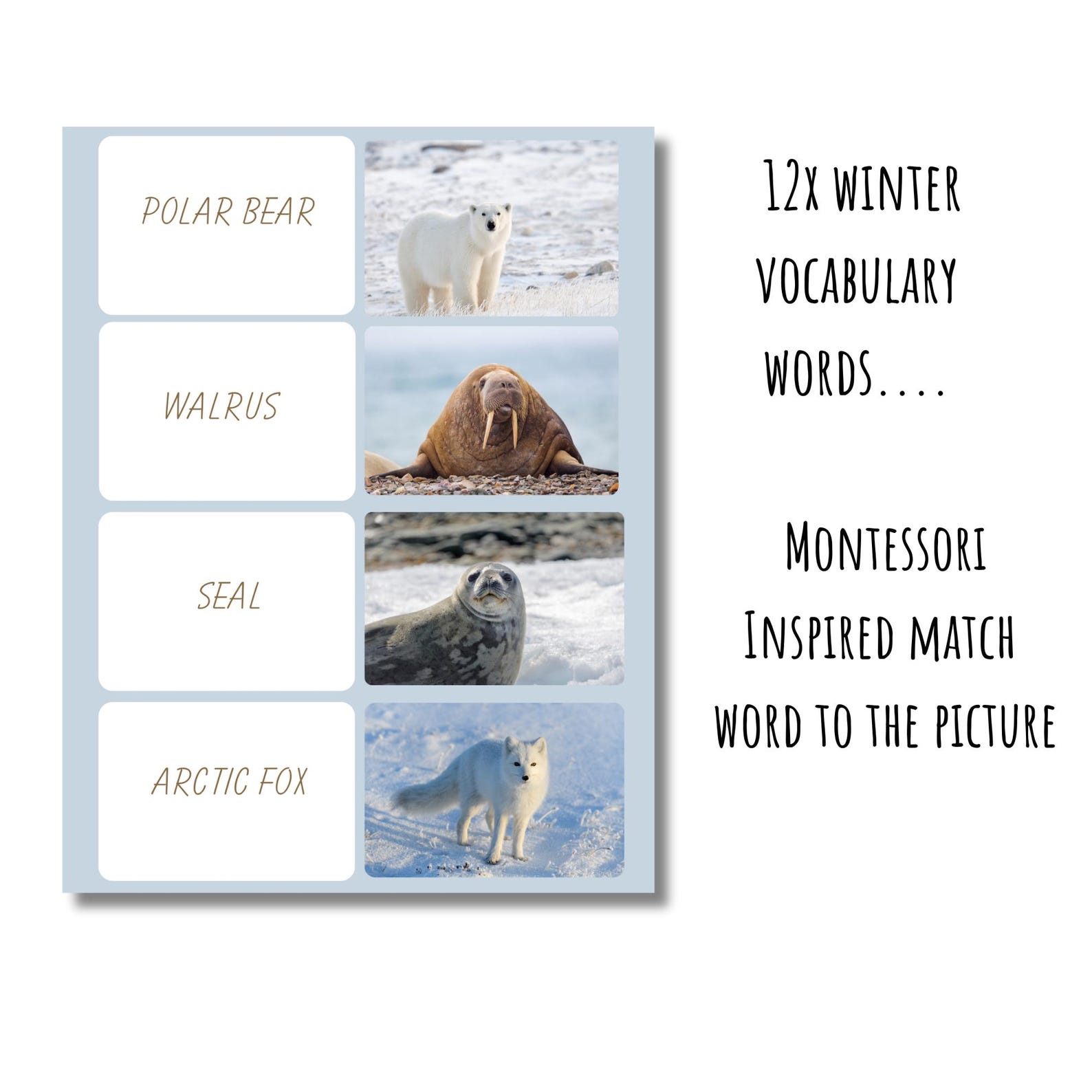 Montessori Winter Vocabulary Flashcards, Real Pictures - Etsy