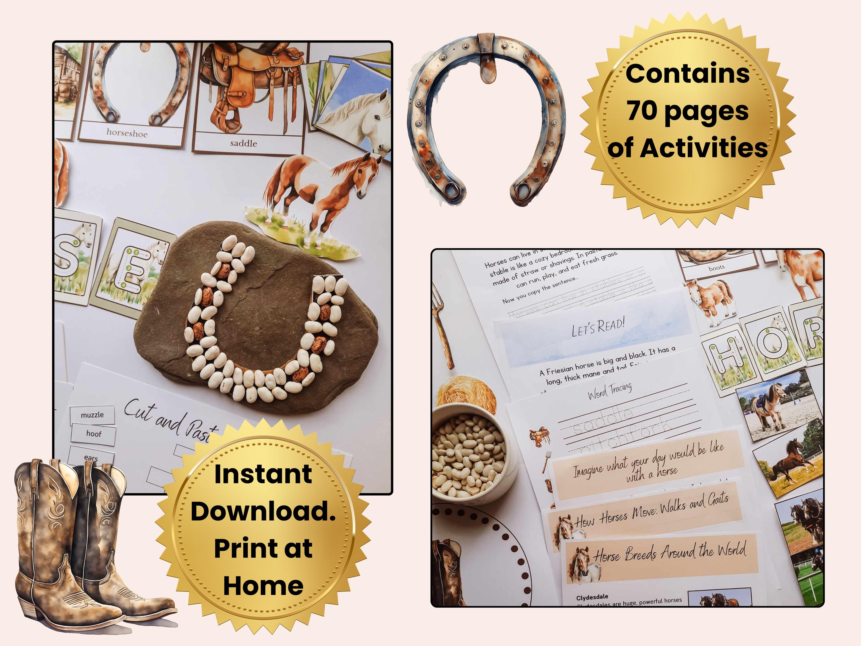 Horse Unit Study, Horse Homeschool Unit Study, Horse Anatomy, Horse ...