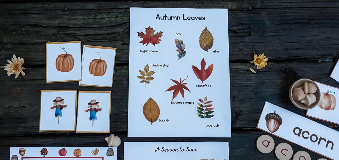 Printable Fall Activity Fall Early Learning Activities Montessori ...