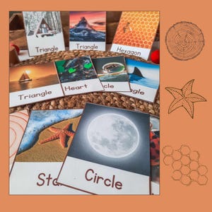 Shapes in Nature, Nature Shapes Printable Flashcards, Reggio Emilia ...