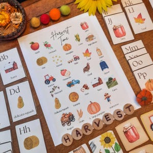 Fall Preschool Activities Learning Flashcards and Worksheets - Etsy