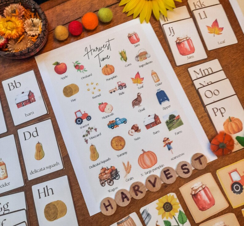 Fall Preschool Activities Learning Flashcards and Worksheets - Etsy